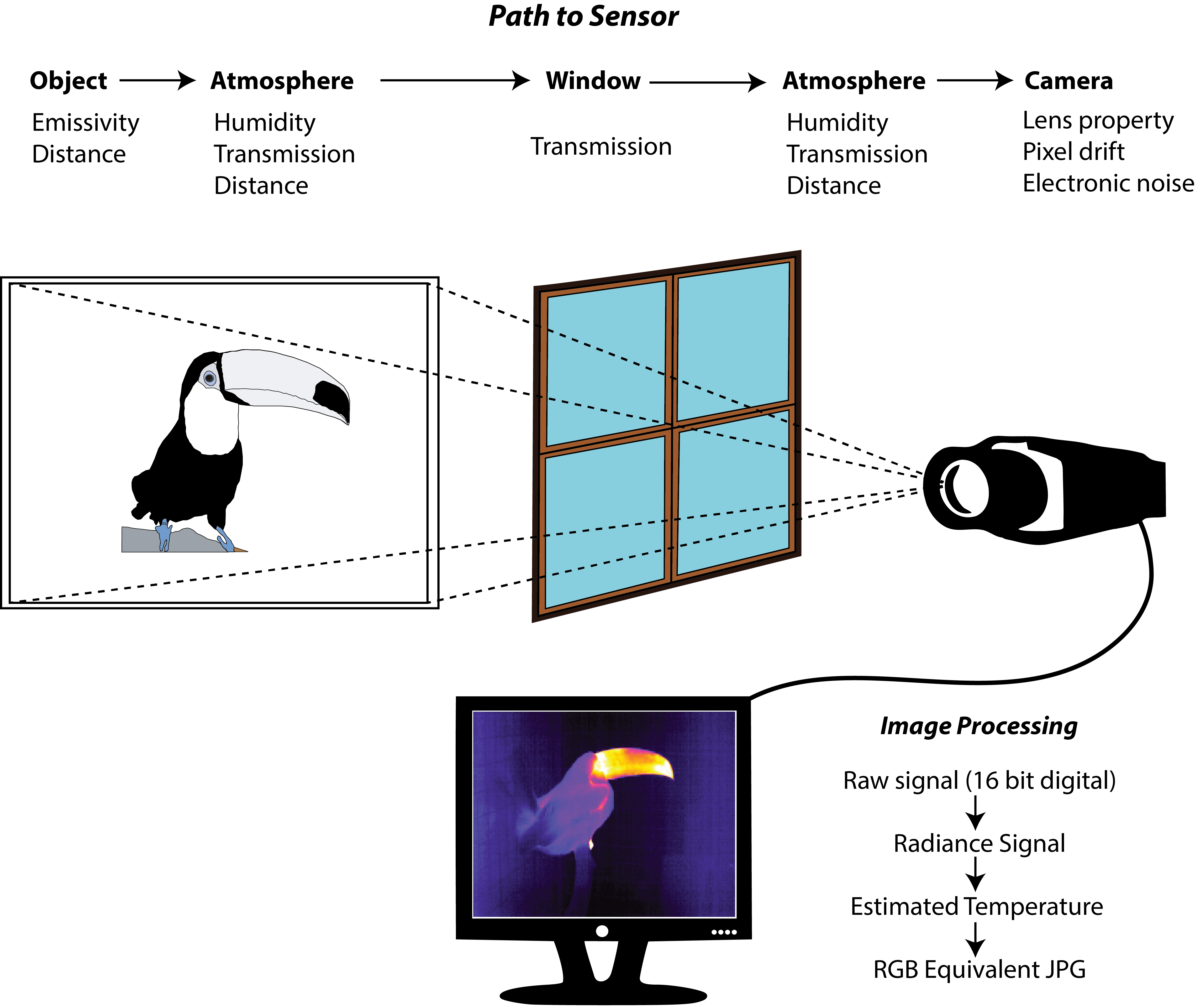 Thermal Imaging and Heat Exchange | Tattersall Lab (TEMP)