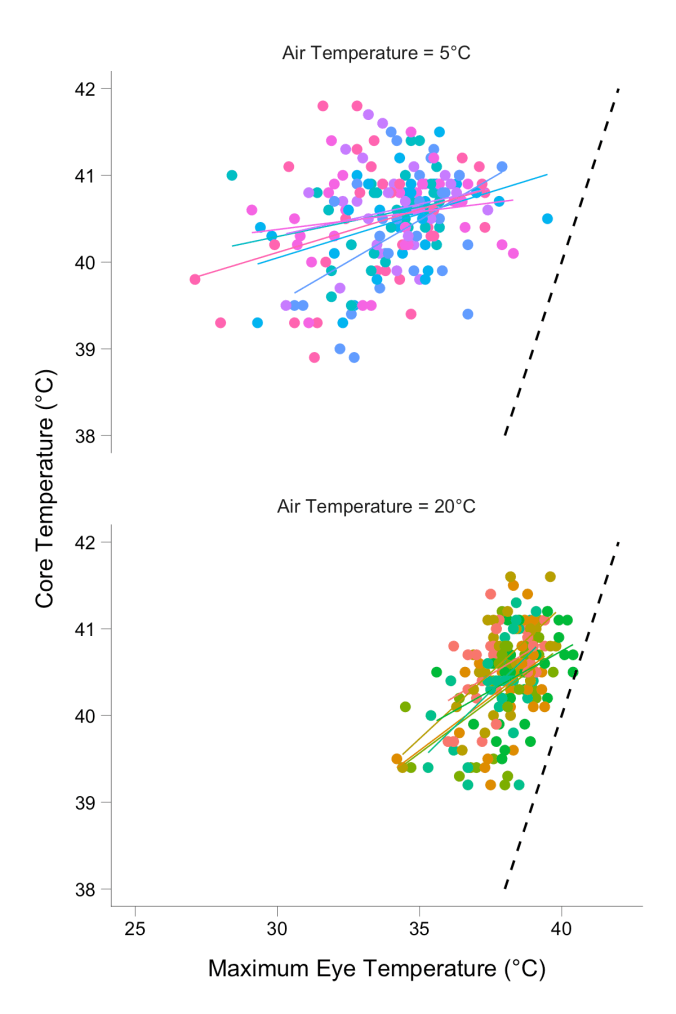 Do surface temperatures measure core temperature? No. | Tattersall Lab ...