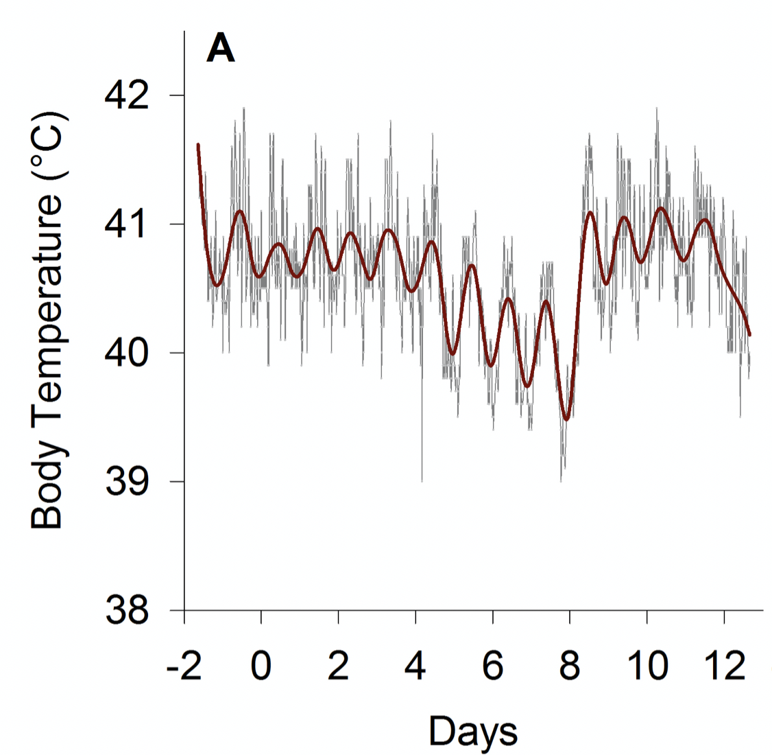 Do surface temperatures measure core temperature? No. | Tattersall Lab ...