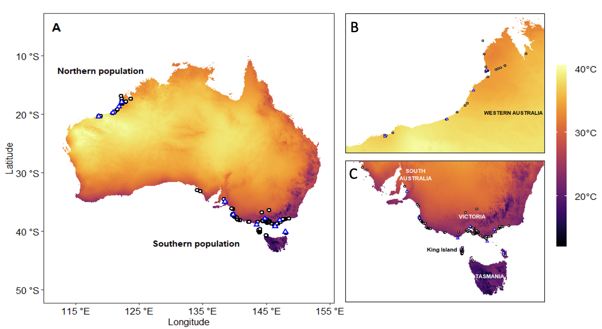 Shrinking Shorebirds & How Climate is Reshaping Them | Tattersall Lab ...